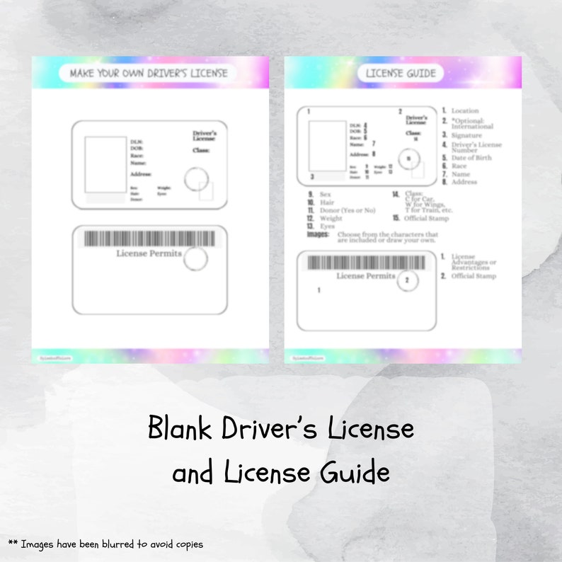 DIY Character Driver's License Kit With Instructions, Printable Fantasy ...