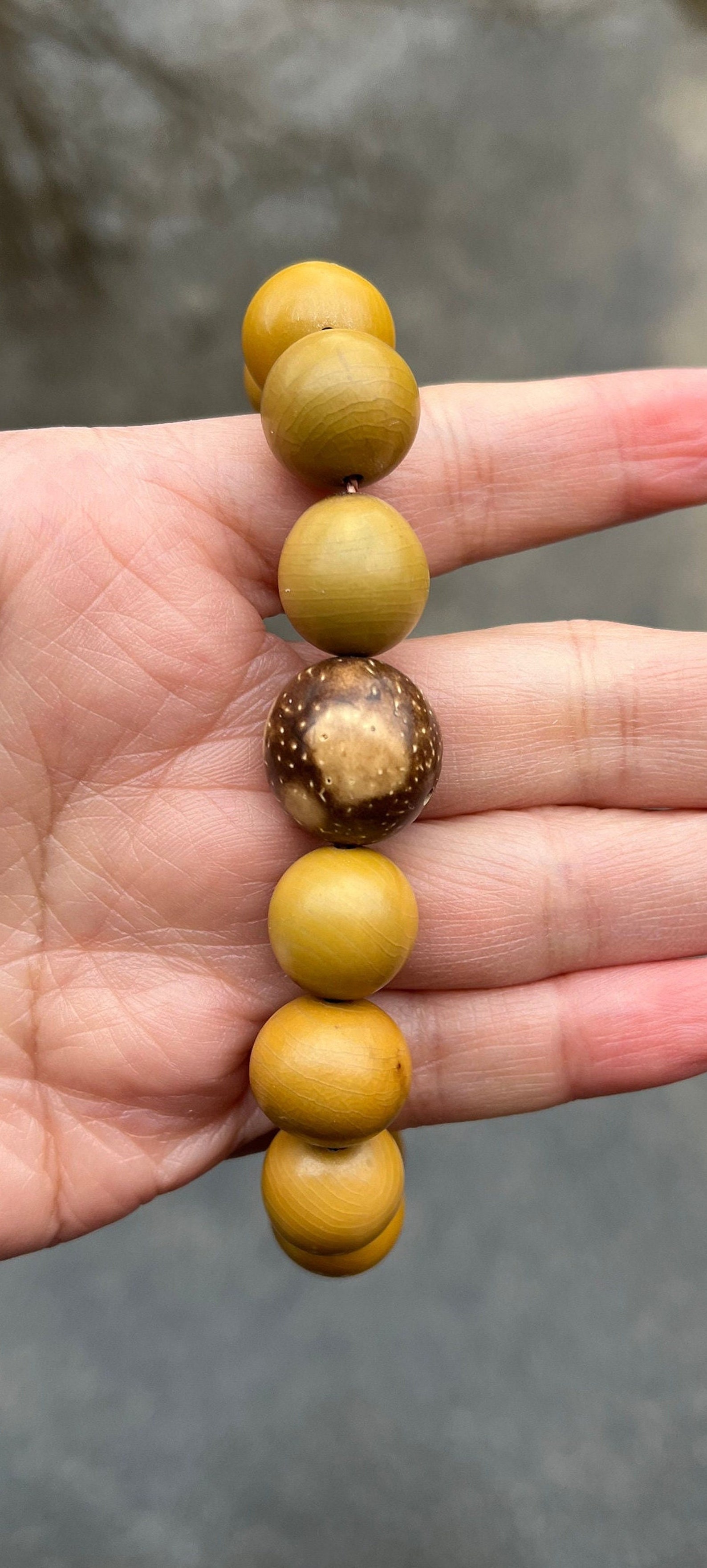 Natural Light Brown Pambil Seeds Bracelet - Etsy