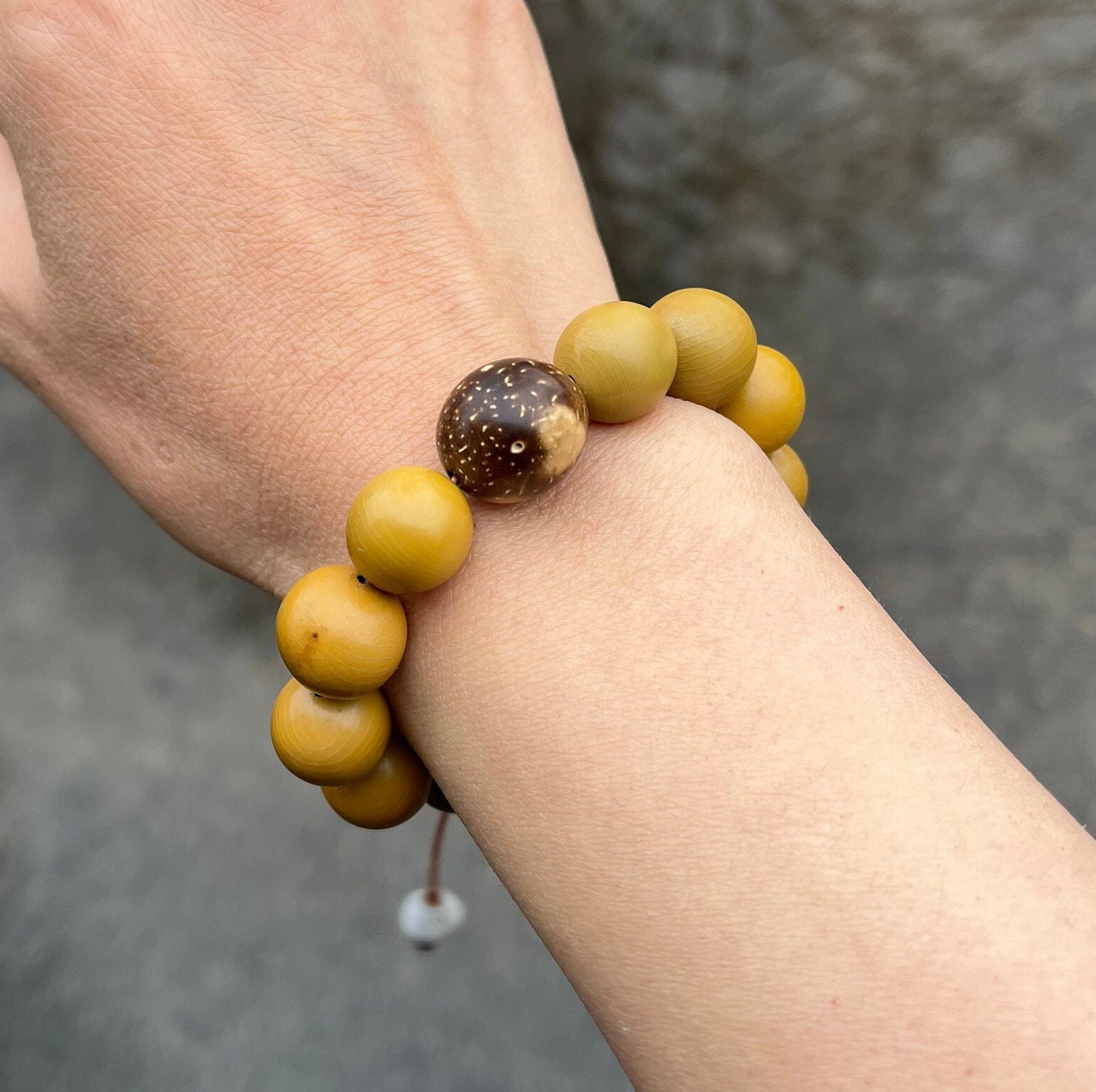 Natural Light Brown Pambil Seeds Bracelet - Etsy