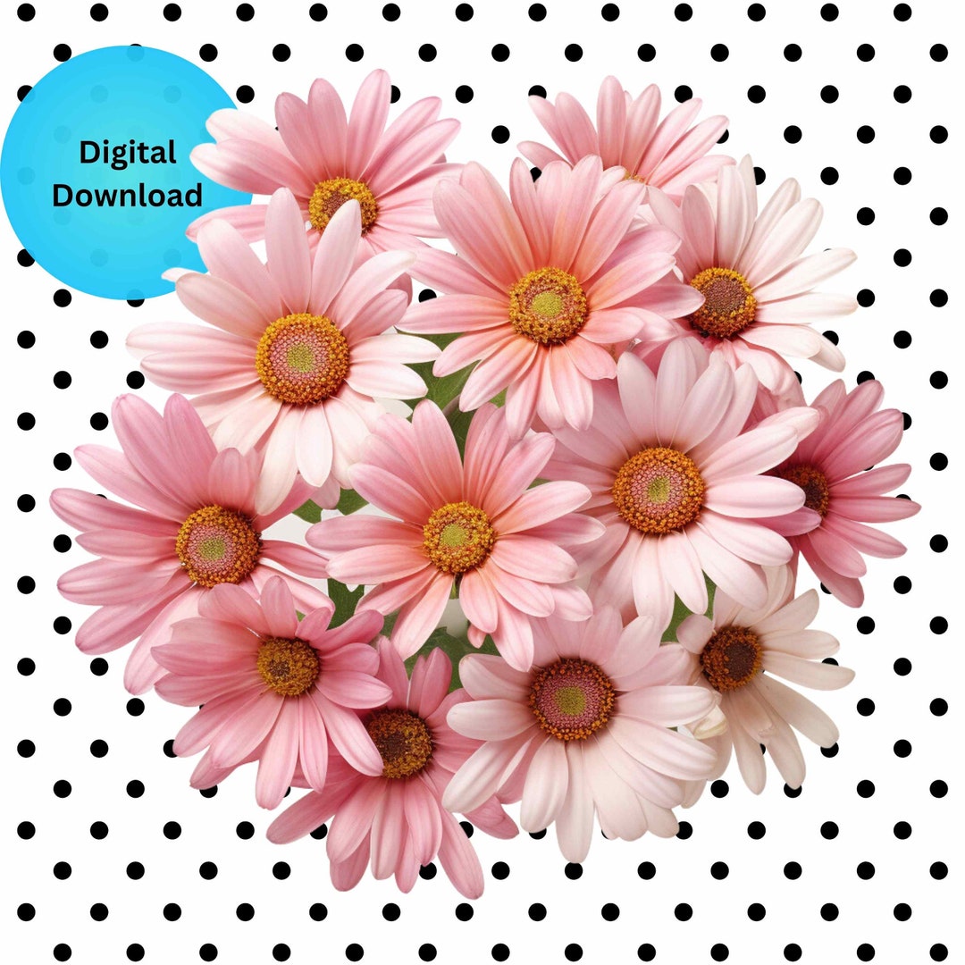 Pink Daisy Clipart, Pink Daisy Clip Art, Pink Daisy Png, Pink Daisy for ...