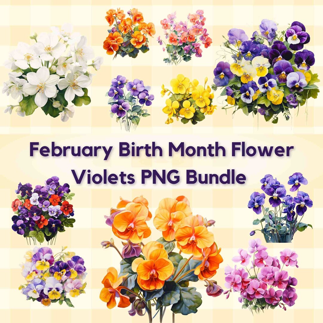 Violets PNG & SVG Bundle: February Birth Flower Designs (digital ...