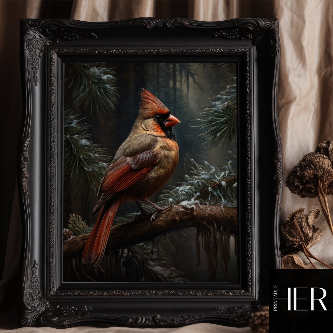 Northern Cardinal in Winter Dark Forest Cottagecore Academia Gothic ...