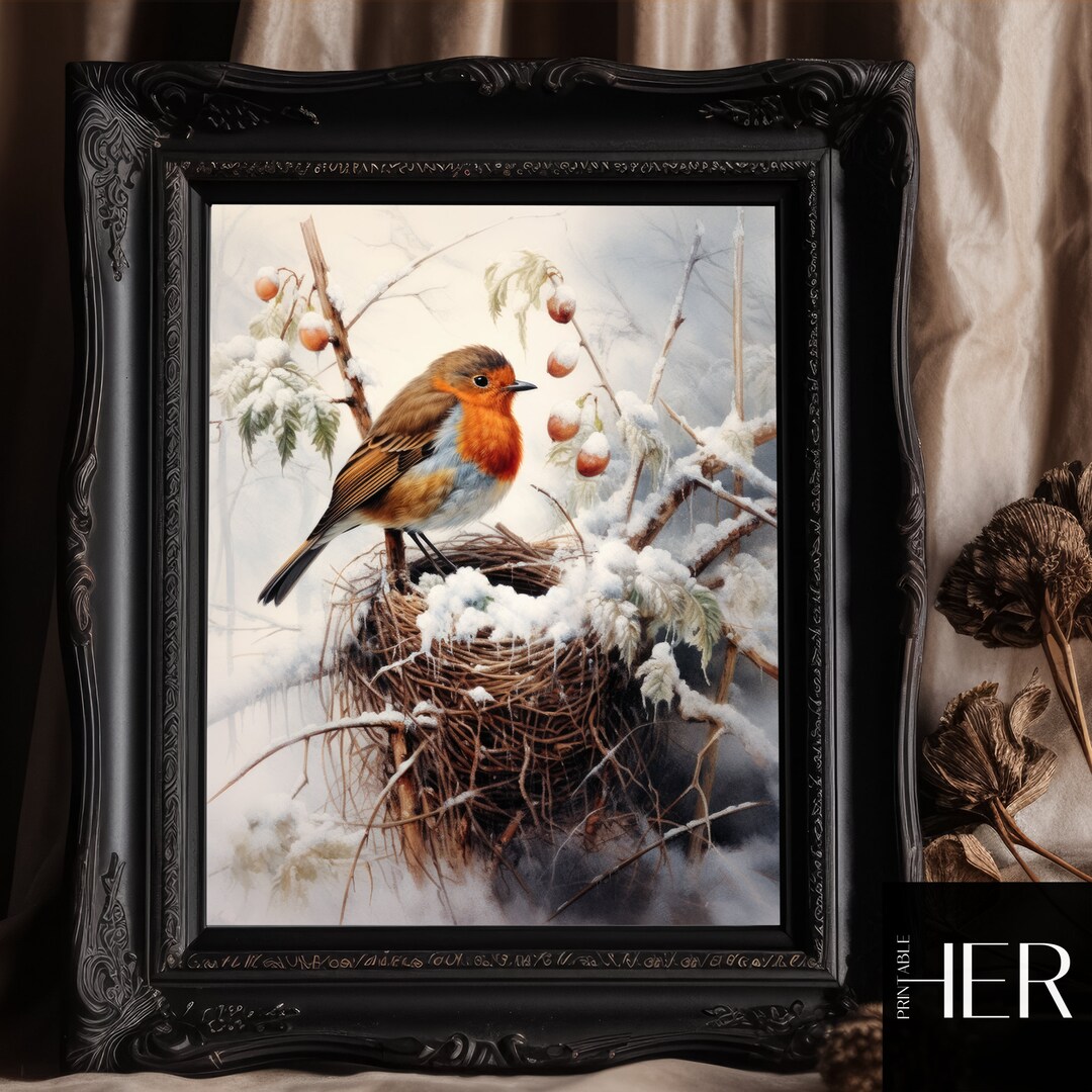 Robin in Winter Garden Cottagecore Farmhouse Scenery Floral Wild Animal ...