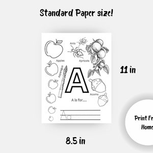 Printable Kids Workbook Fun Educational Activities & Learning Sheets ...