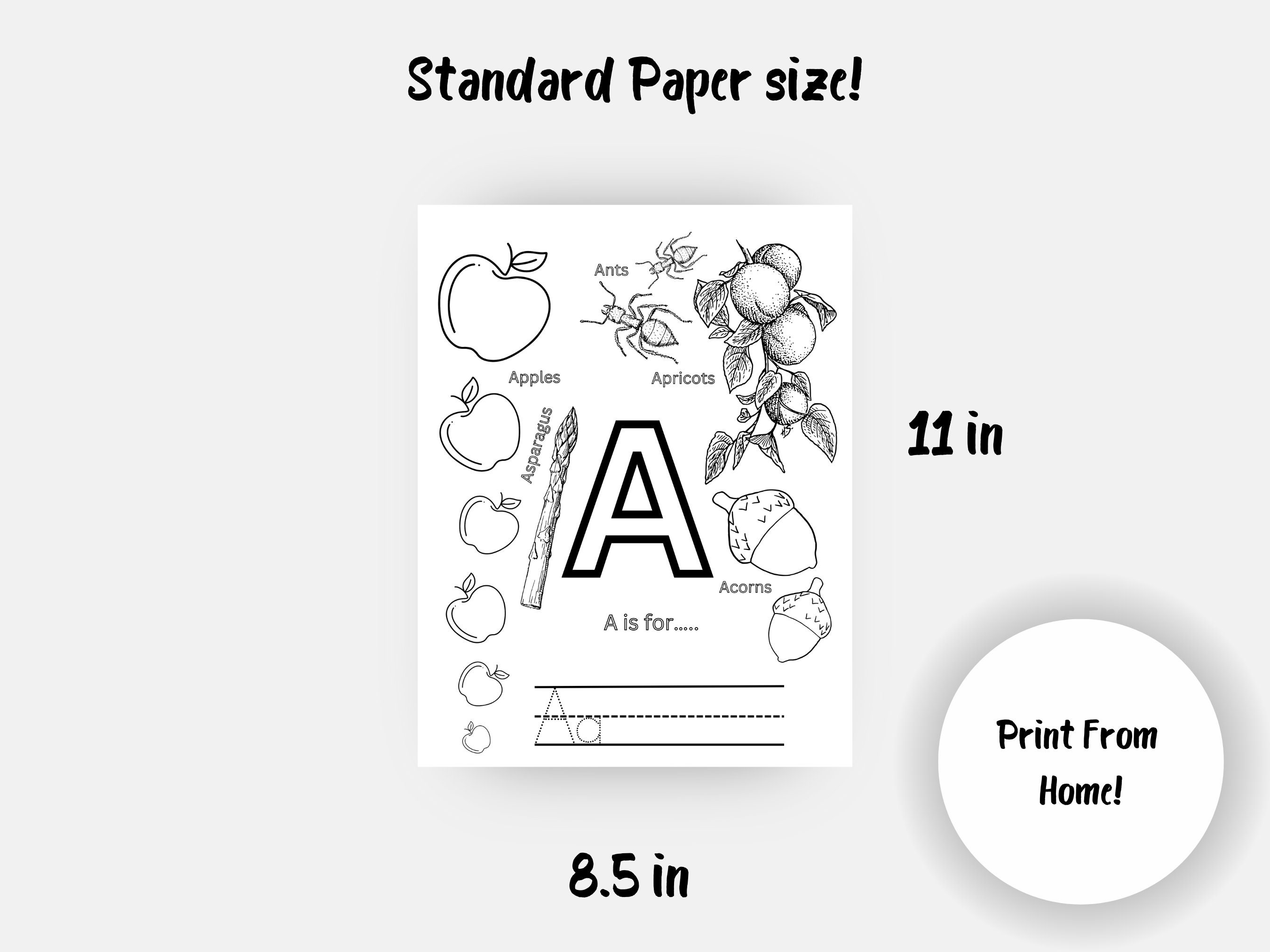 Printable Kids Workbook Fun Educational Activities & Learning Sheets ...