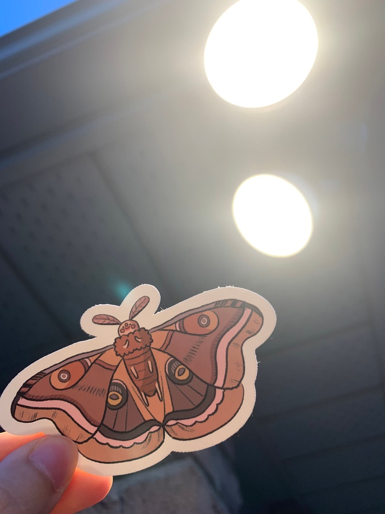 Moth Sticker Kawaii Cute Cottagecore Matte Sticker - Etsy