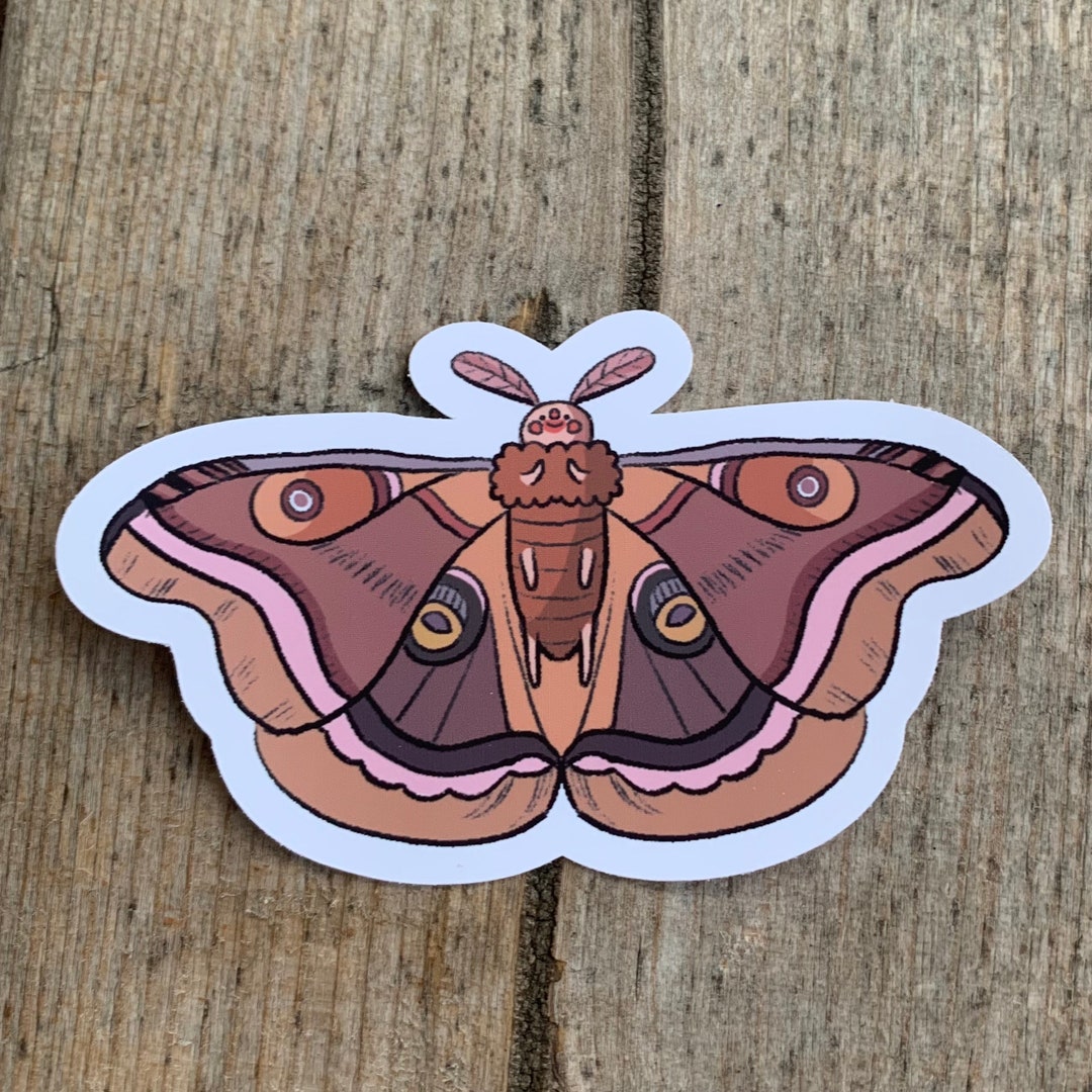 Moth Sticker Kawaii Cute Cottagecore Matte Sticker - Etsy