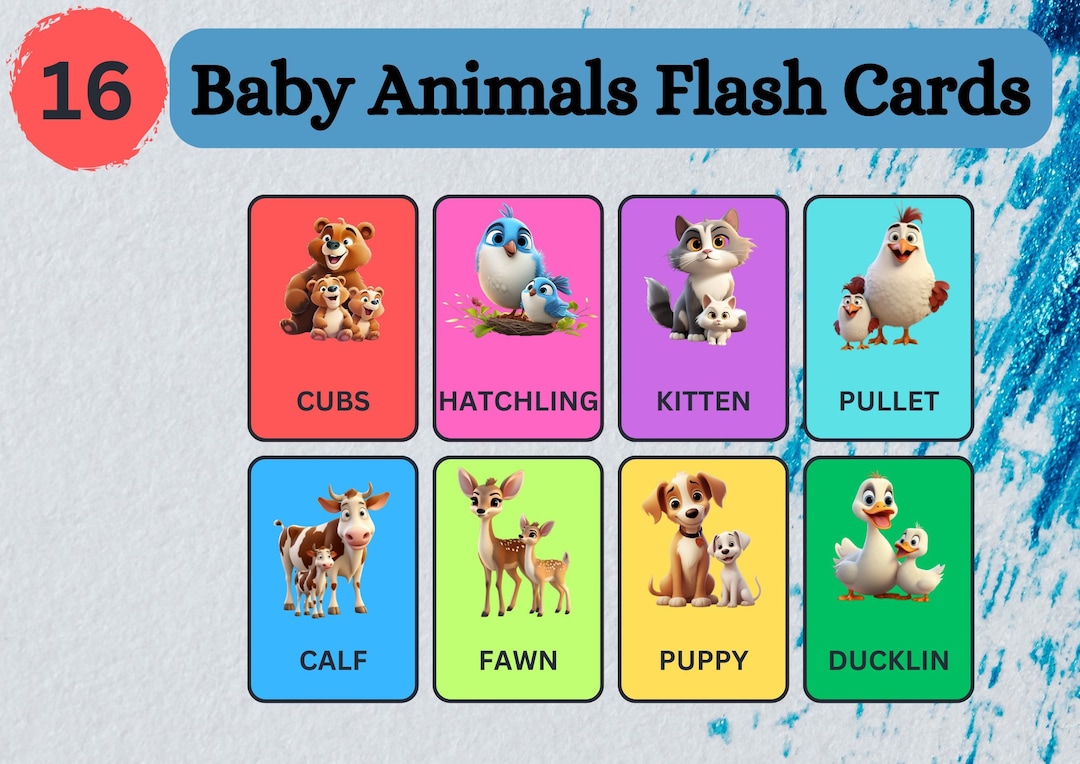 CUTE ANIMALS • 16 Editable Montessori Cards • Flash Cards Nomenclature ...