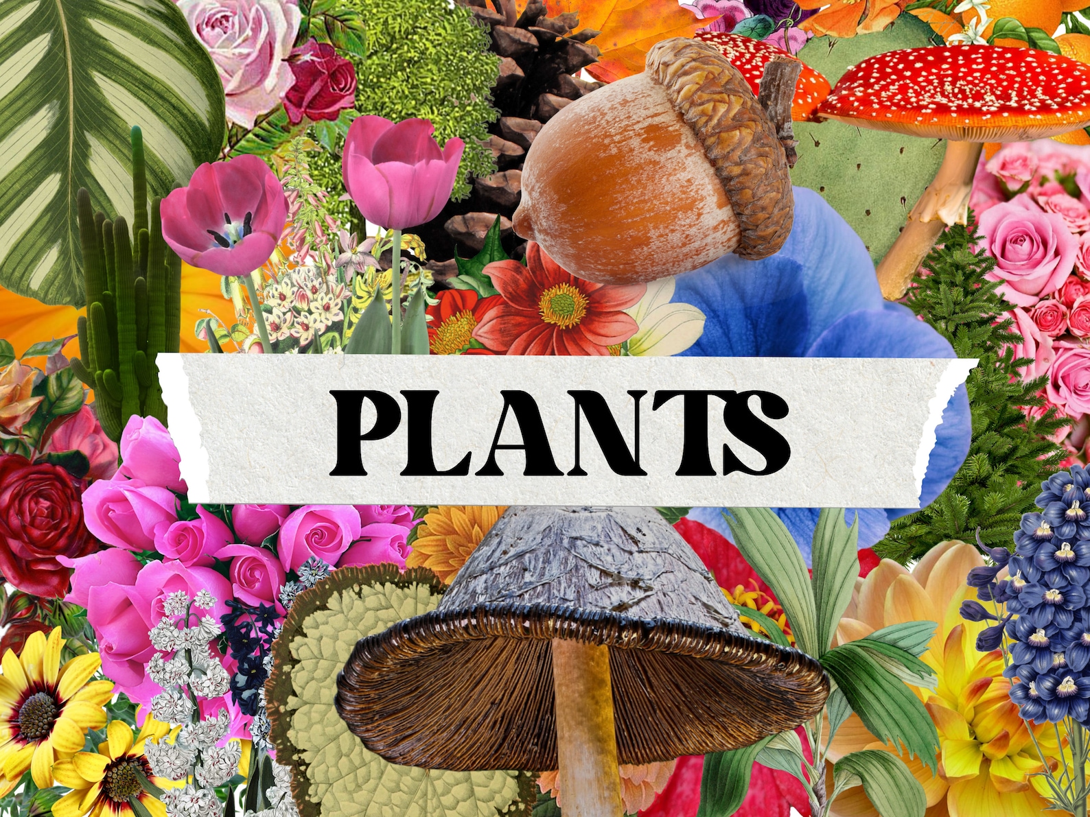 FULL SHOP ACCESS | 3,500+ Digital Collage Elements | Lifetime Access - Etsy
