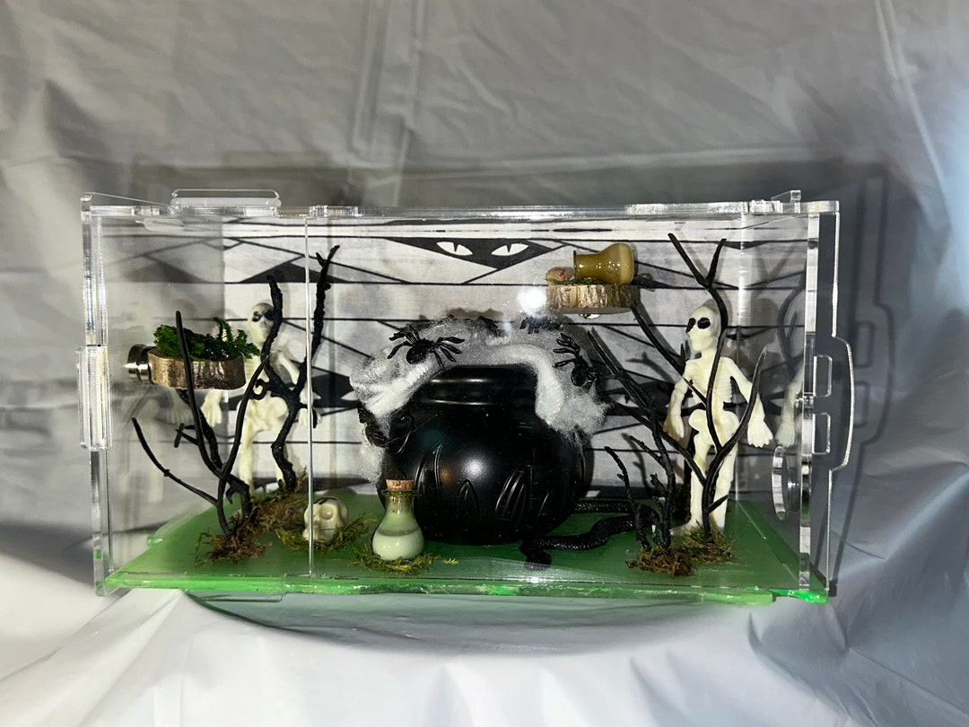 The Secret Cauldron terr0rium - Etsy