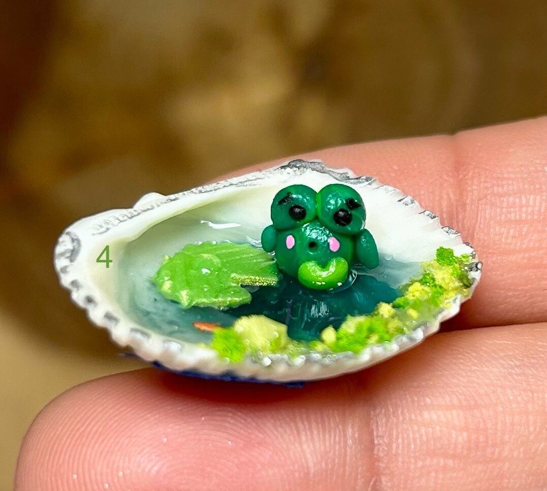 Micro Frog Seashells 1-4 - Etsy