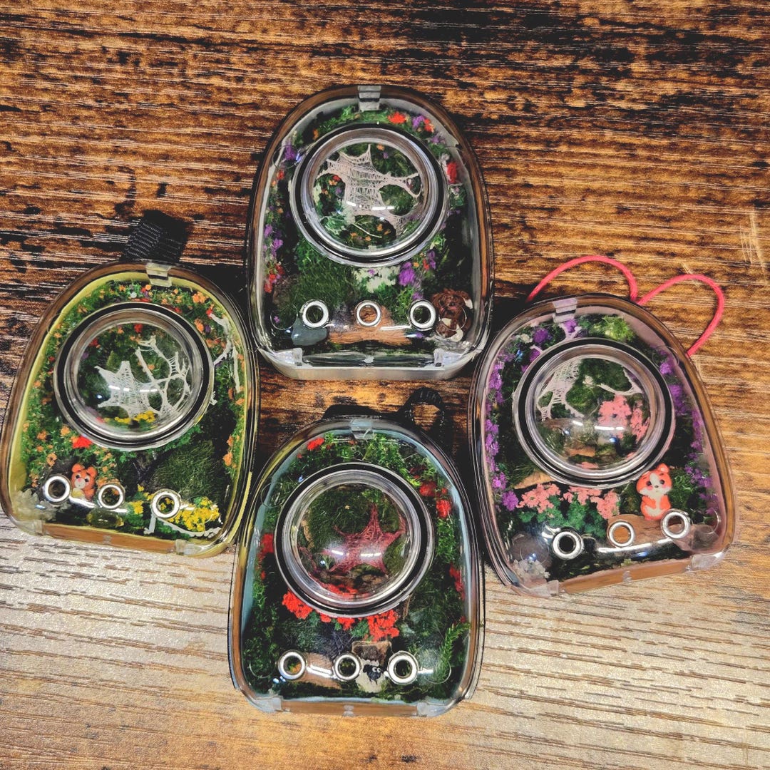 Handmade Jumping Spider Pocket Pod - Etsy