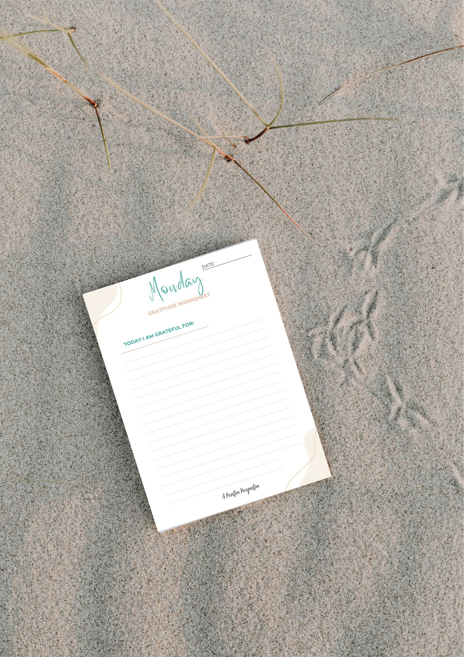 A Guided Mindfulness & Wellbeing Journal Gratitude Journal - Etsy