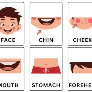 Body Parts Flashcards, Human Anatomy, Montessori, Preschool, Homeschool ...