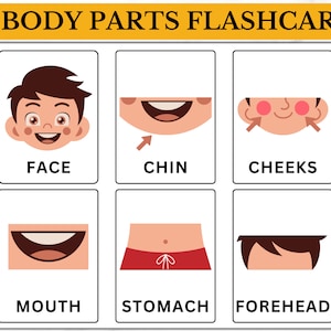 Body Parts Flashcards, Human Anatomy, Montessori, Preschool, Homeschool ...