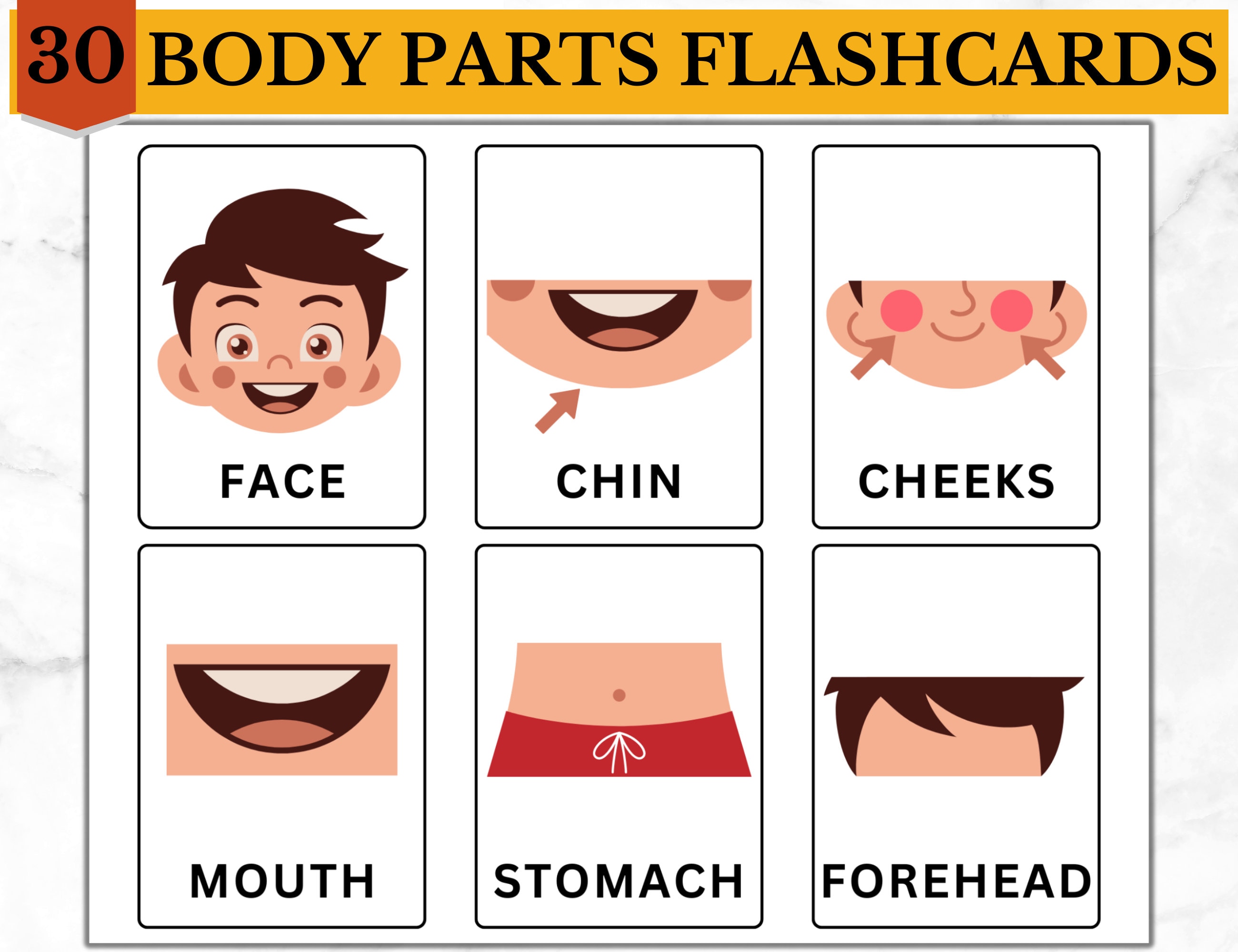 Body Parts Flashcards, Human Anatomy, Montessori, Preschool, Homeschool ...
