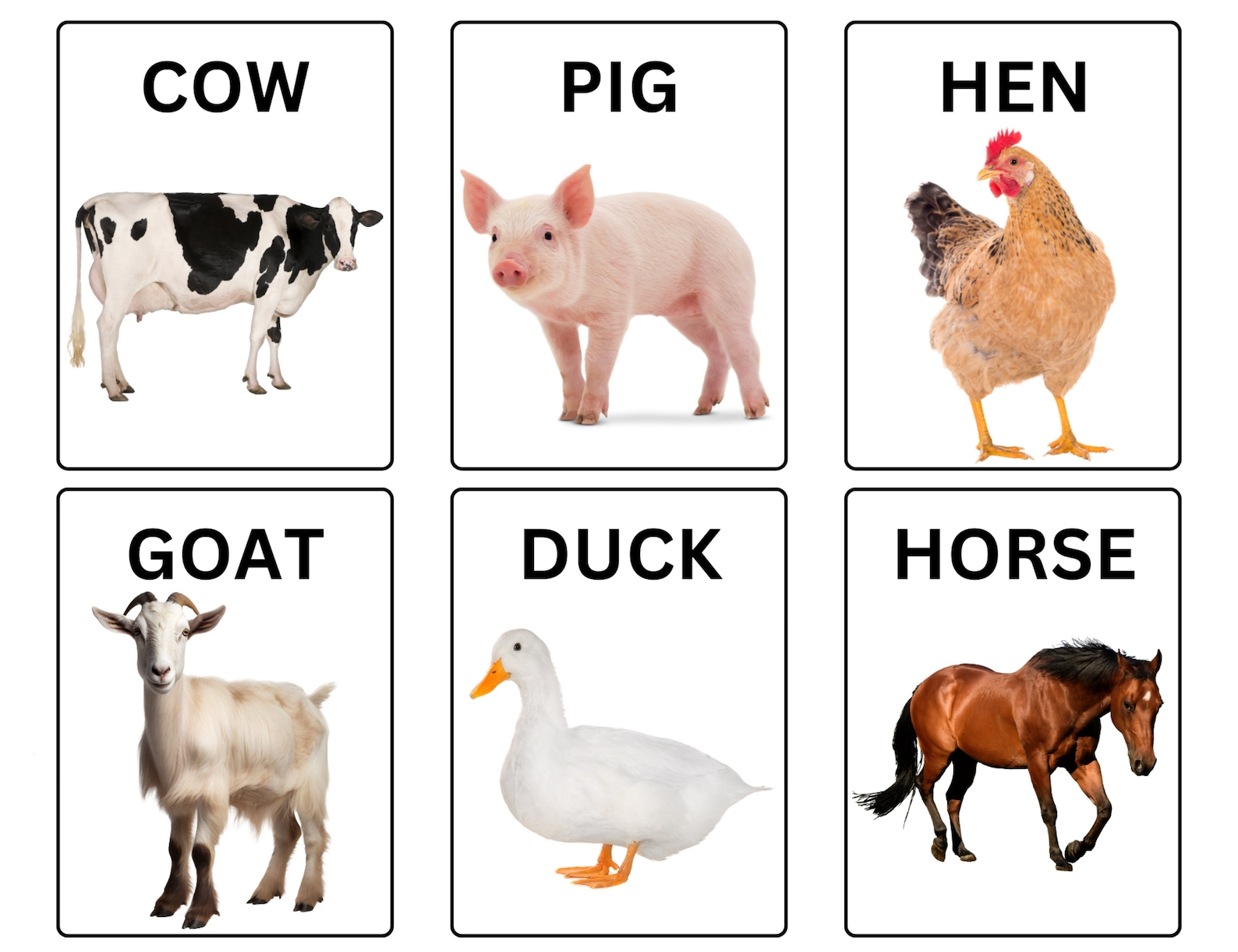 Farm Animals, Real, Flashcards, Pictures, Montessori, Back to School ...
