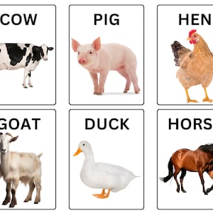 Farm Animals, Real, Flashcards, Pictures, Montessori, Back to School ...