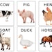Farm Animals, Real, Flashcards, Pictures, Montessori, Back to School ...
