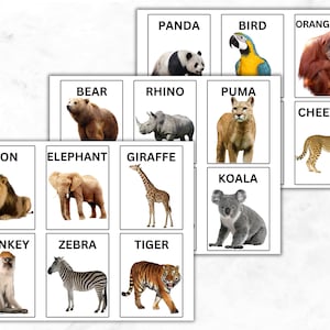 Zoo Animals, Real, Flashcards, Montessori, Back to School, Pets, Field ...