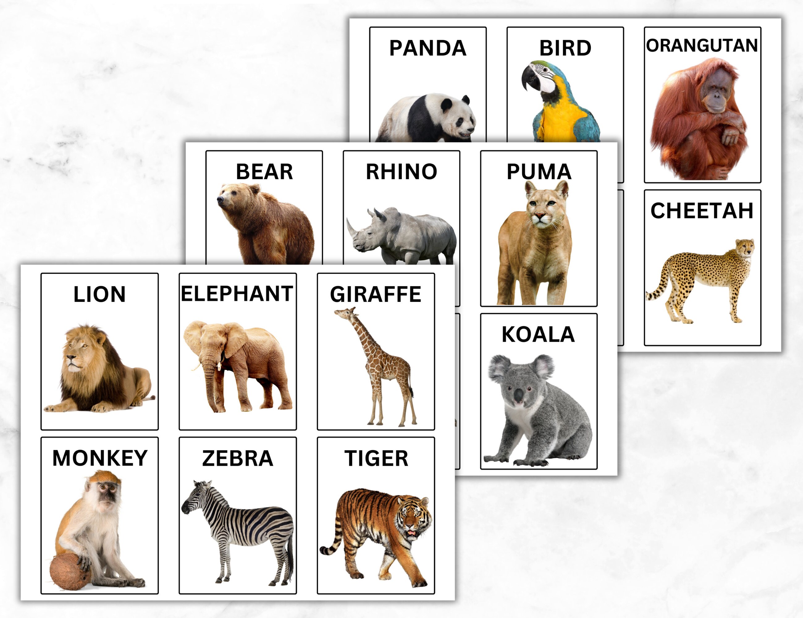 Zoo Animals, Real, Flashcards, Montessori, Back to School, Pets, Field ...