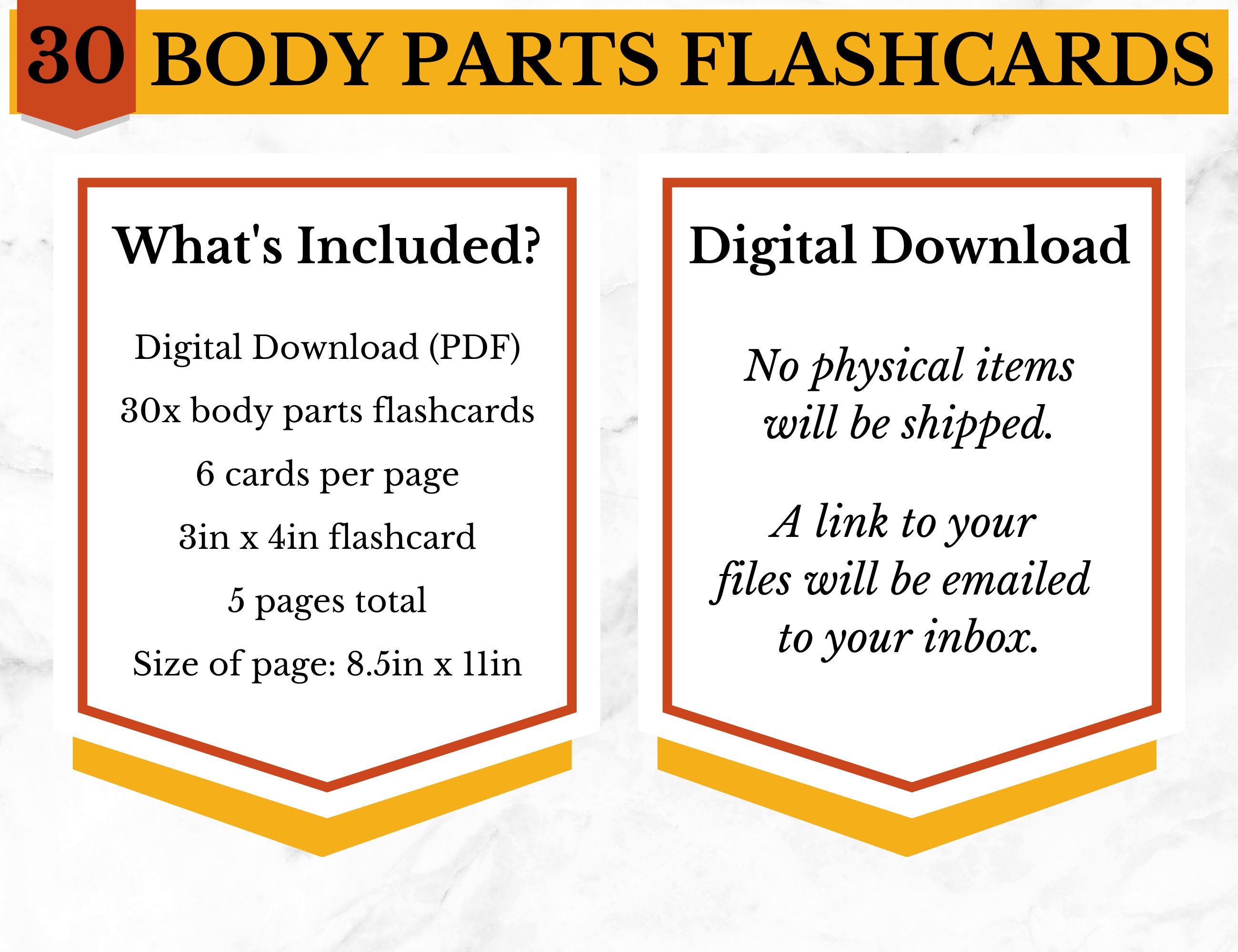 Body Parts Flashcards, Human Anatomy, Montessori, Preschool, Homeschool ...