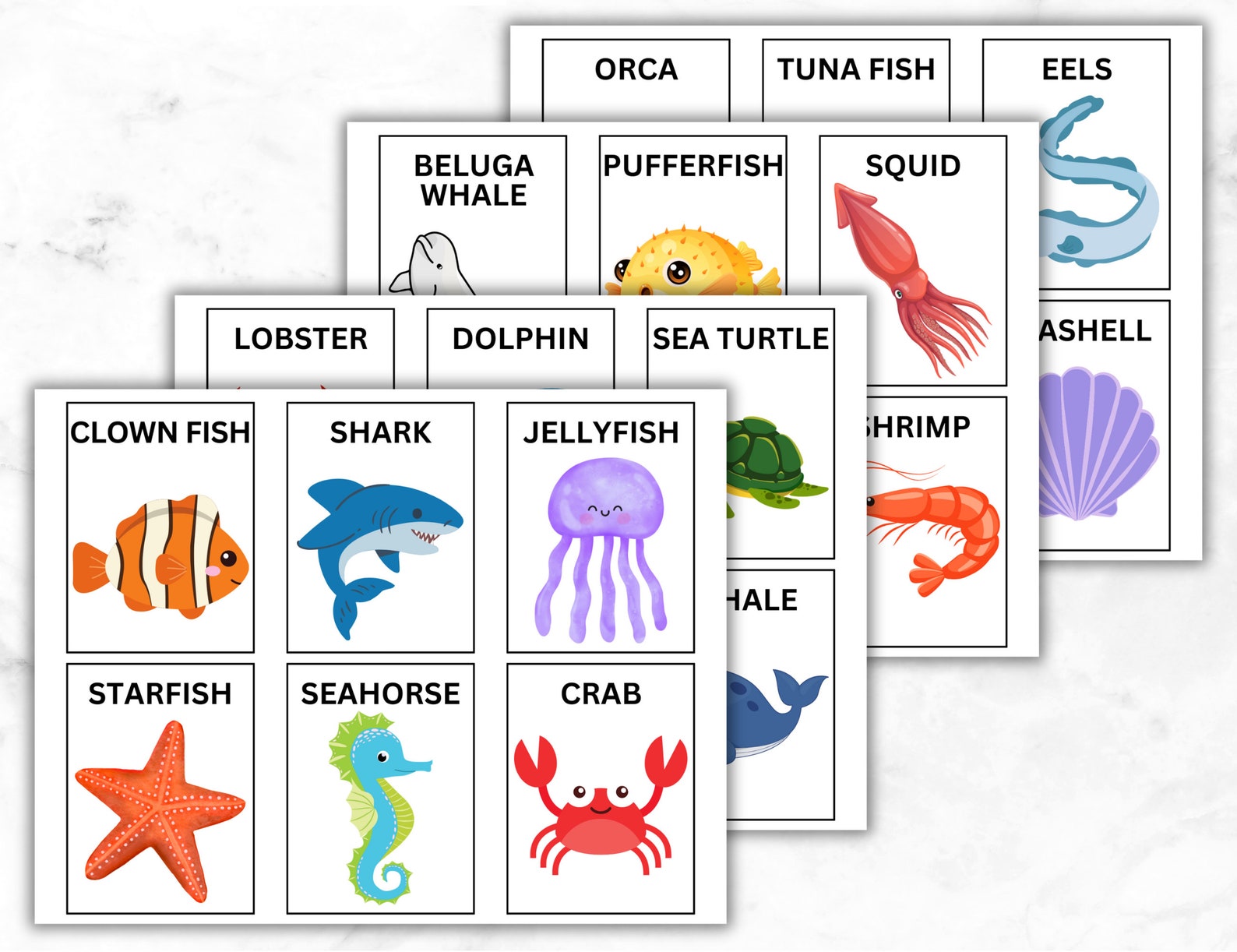 Sea Animals, Flashcards, Aquatic, Marine, Water, Ocean, Preschool ...