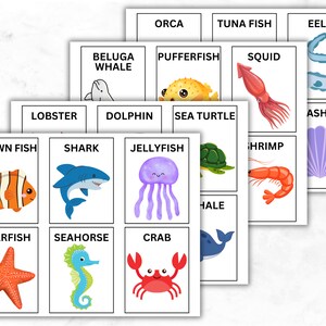 Sea Animals, Flashcards, Aquatic, Marine, Water, Ocean, Preschool ...