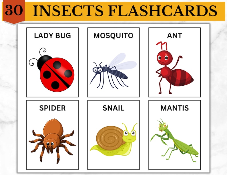 Insects Flashcards, Bugs, Science, Biology, School, Daycare, Field Trip, Learning, Education - Etsy