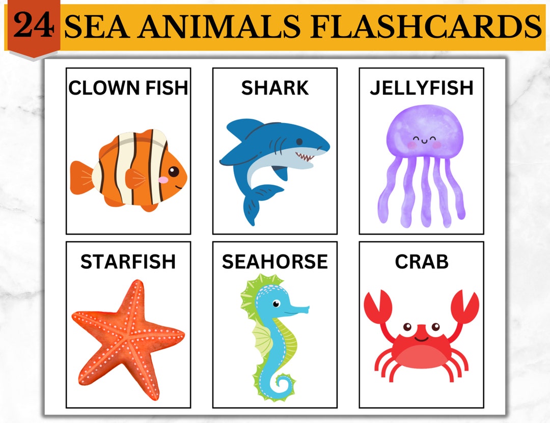 Sea Animals, Flashcards, Aquatic, Marine, Water, Ocean, Preschool ...