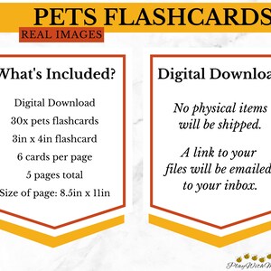 Pets, Real, Flashcards, Vocabulary, Animals, Colorful, Learning, School ...