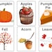 Autumn, Fall Flashcards, Vocabulary, October, November, Halloween ...
