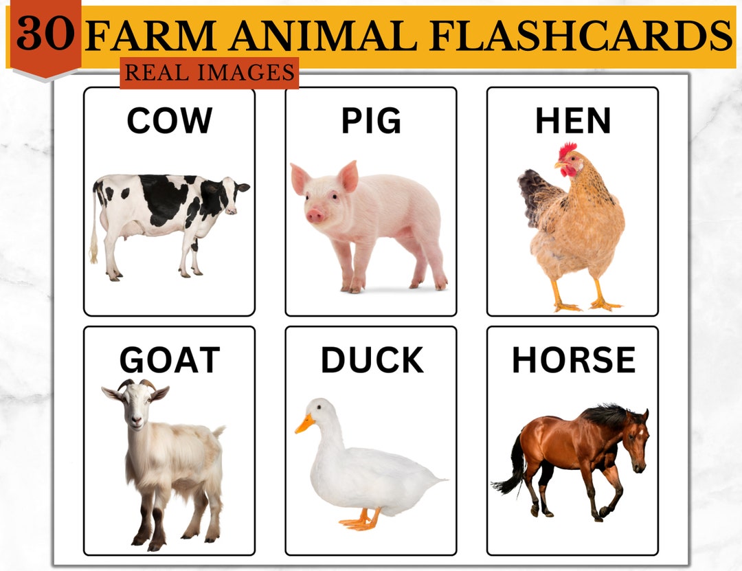 Farm Animals, Real, Flashcards, Pictures, Montessori, Back to School ...