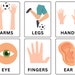 Body Parts Flashcards, Human Anatomy, Montessori, Preschool, Homeschool ...