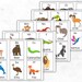 Animal Alphabet Flashcards, Printable ABC, Educational, Preschool ...