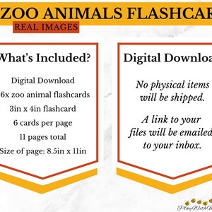 Zoo Animals, Real, Flashcards, Montessori, Back to School, Pets, Field ...