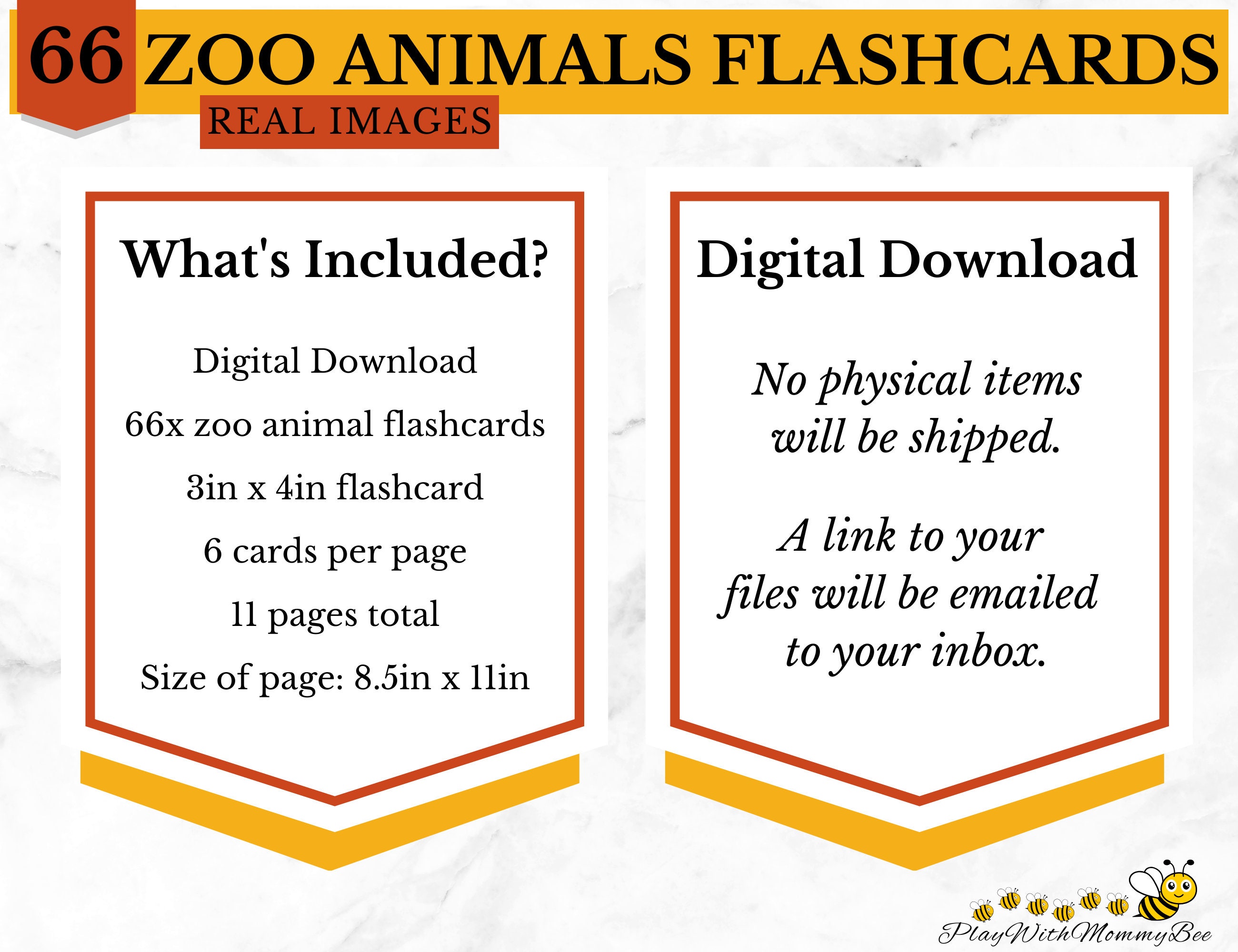 Zoo Animals, Real, Flashcards, Montessori, Back to School, Pets, Field ...