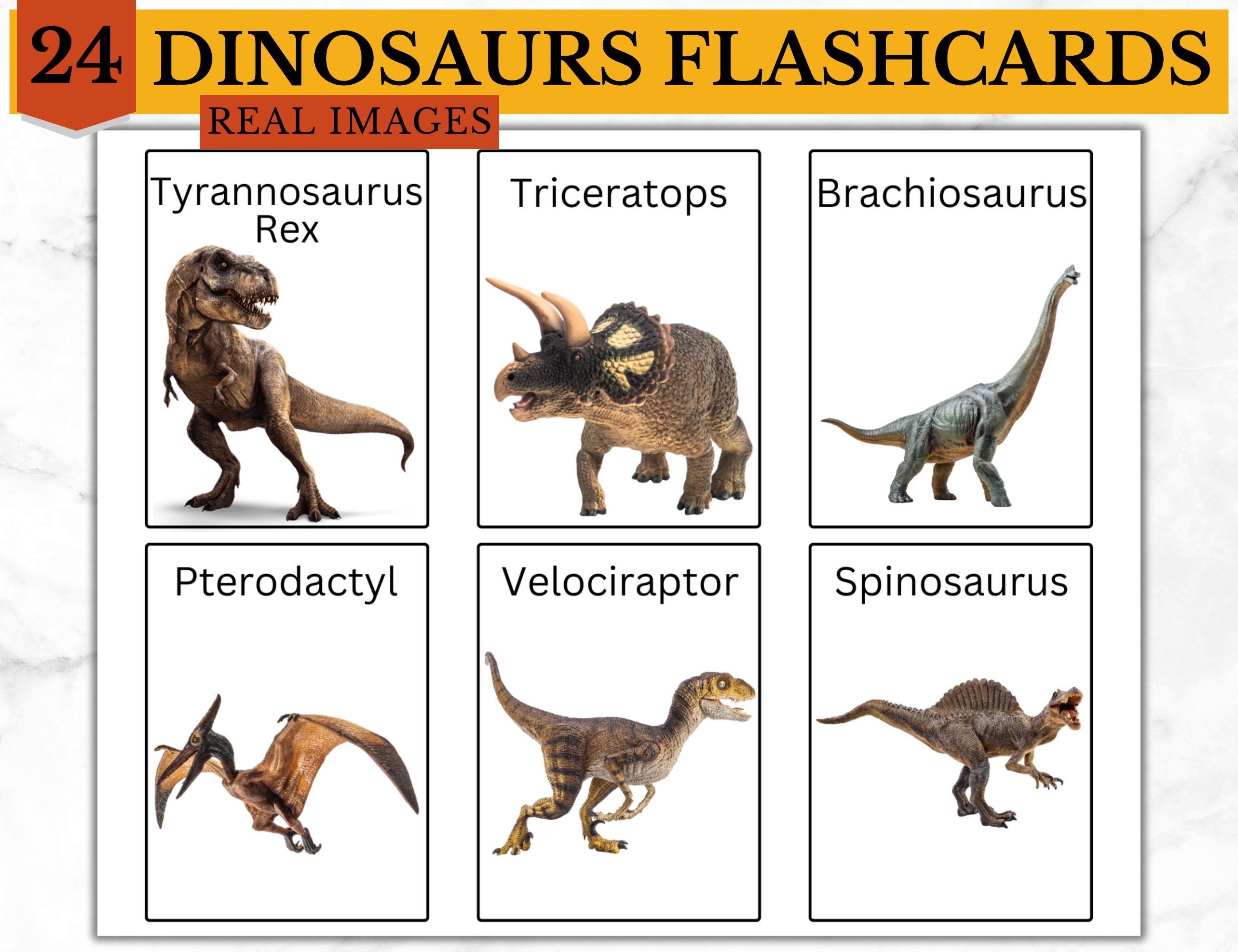 Printable Dinosaur Flashcards