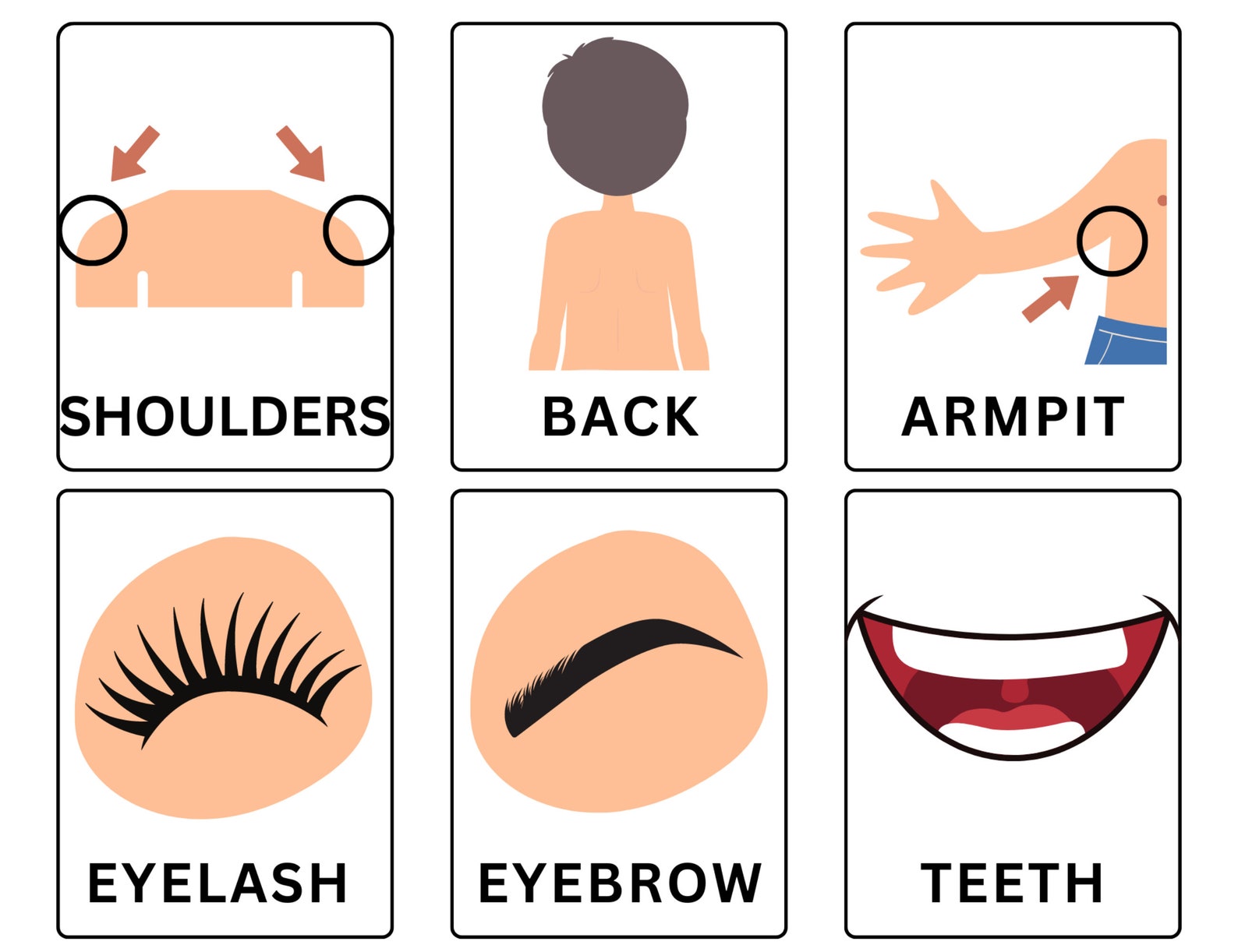 Body Parts Flashcards, Human Anatomy, Montessori, Preschool, Homeschool ...