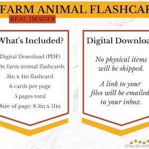 Real Farm Animal Flashcards: Montessori Educational Print (PDF) - Etsy