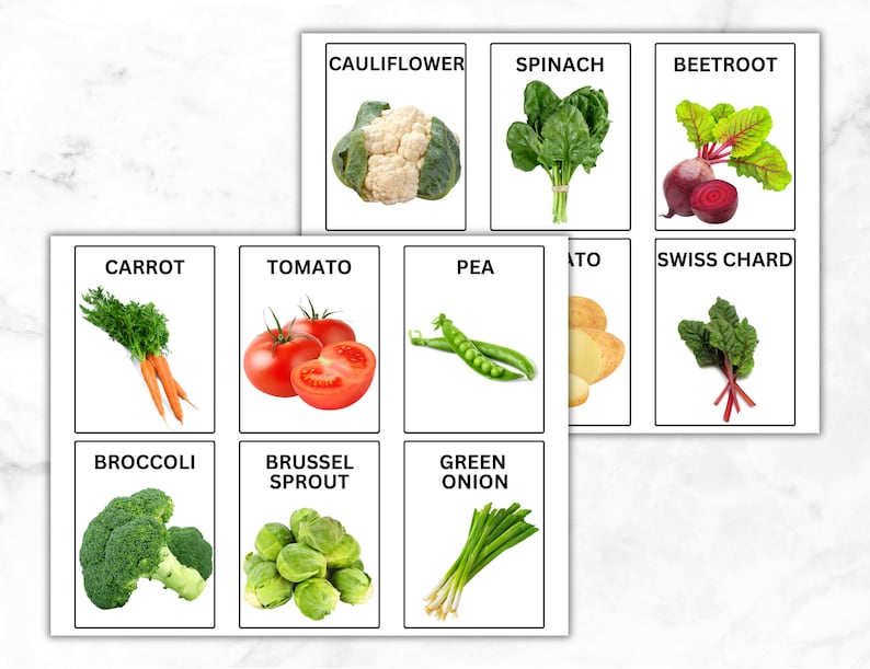 Vegetables, Real, Veggies, Flashcards, Montessori, School, Classroom ...