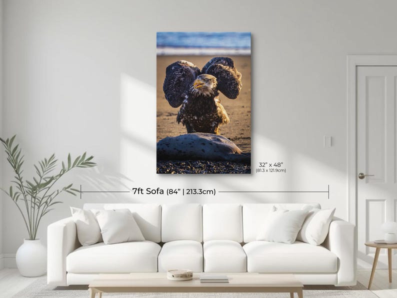 Bald Eagle Print, Alaska Wildlife Wall Art, Kenai River Nature Photo - Etsy