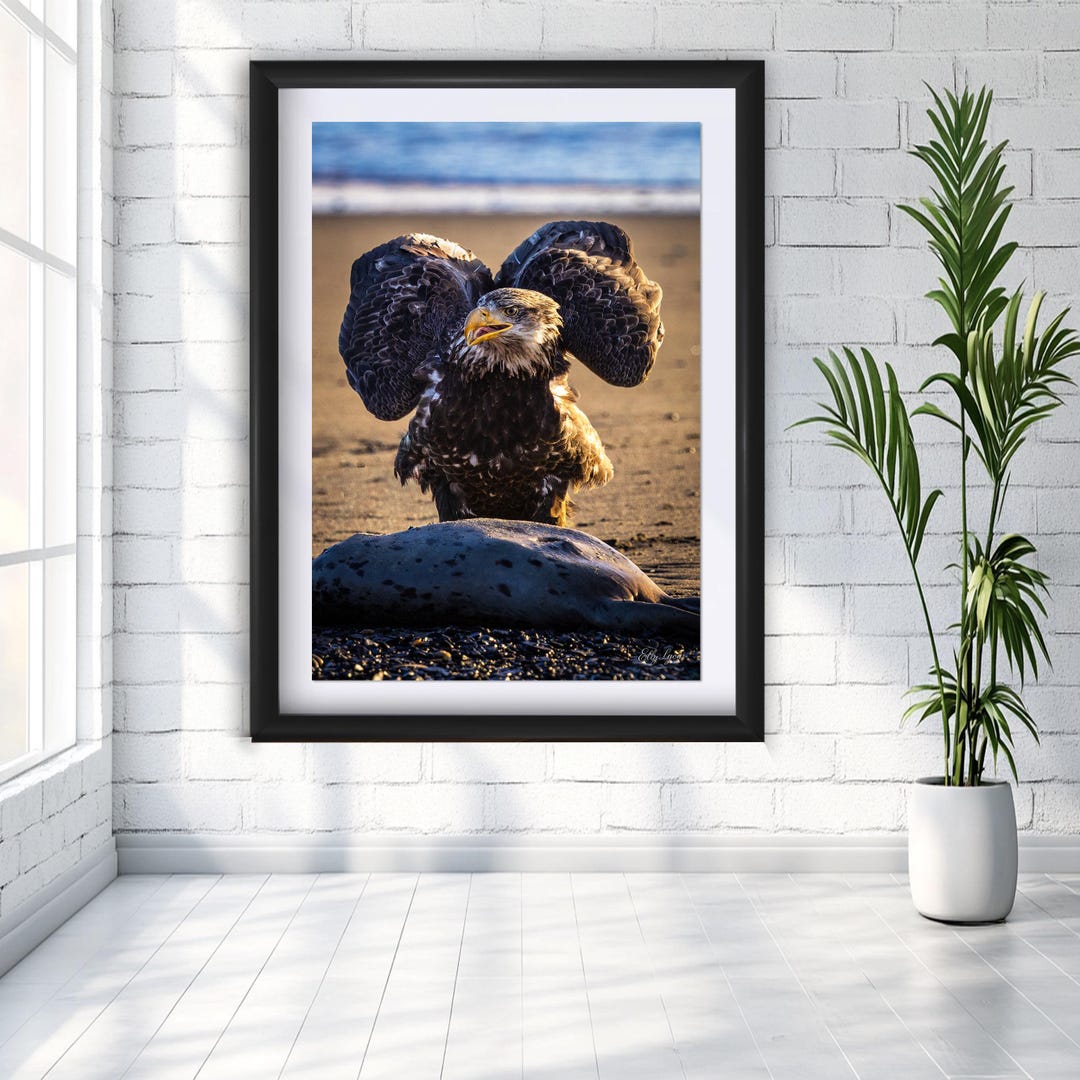 Bald Eagle Print, Alaska Wildlife Wall Art, Kenai River Nature Photo - Etsy