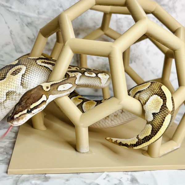 Snake Bowl - Etsy