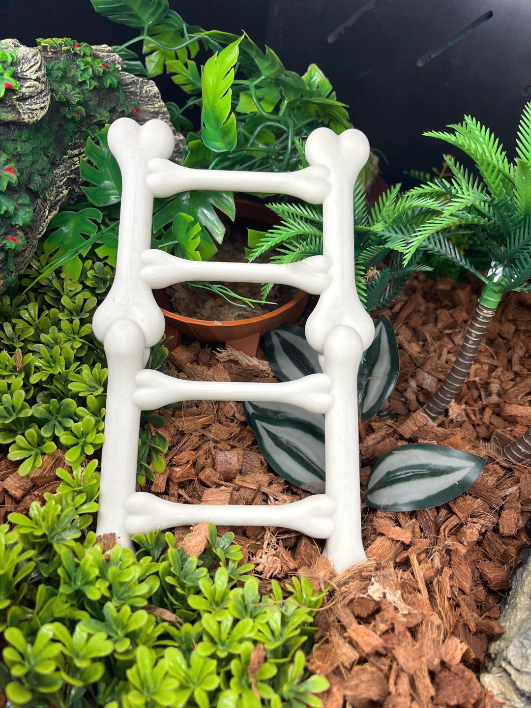 Snake Climbing Bone Ladder L Snake Enrichment - Etsy