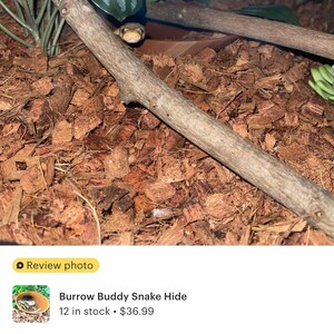 Burrow Buddy Snake Hide L Ball Python Hide, Large Snake Hide - Etsy