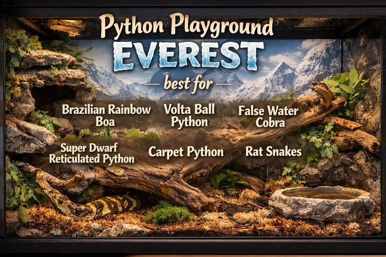 Python Playground EVEREST - Snake Climbing Enrichment, Giant Snake ...