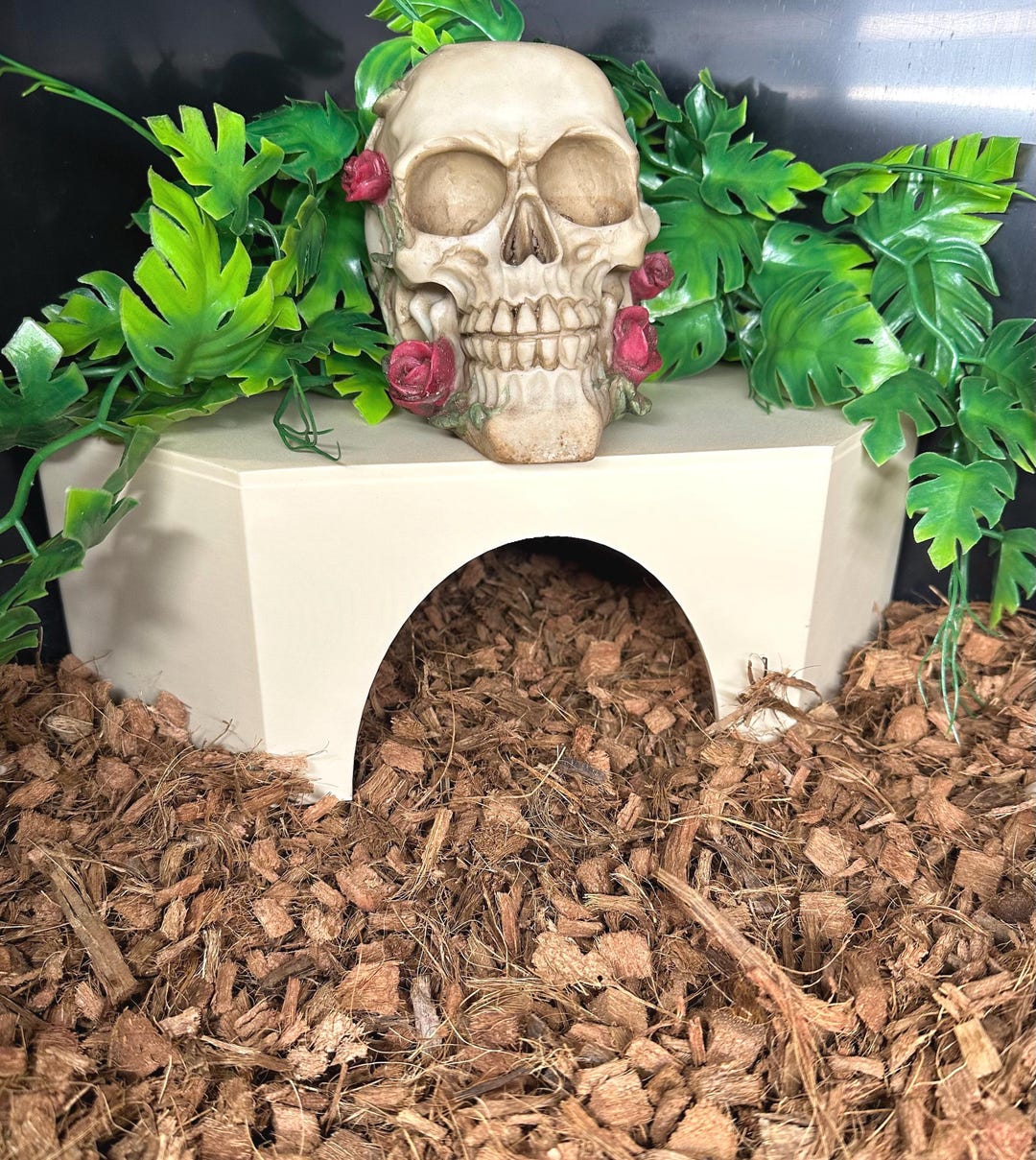 Reptile Corner Hide L Snake Hide - Etsy