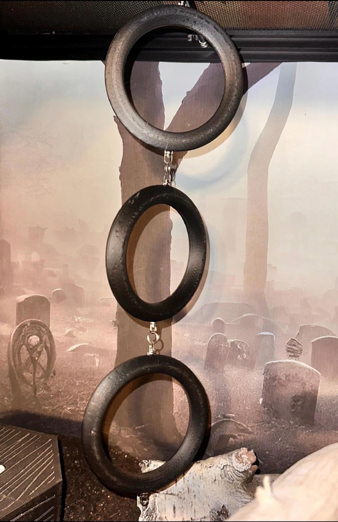 Snake Enrichment Climbing Rings - Ball Python, Corn Snake, Rat Snake ...