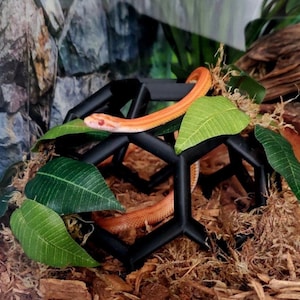 Python Playground MINI Snake Climbing Enrichment - Etsy